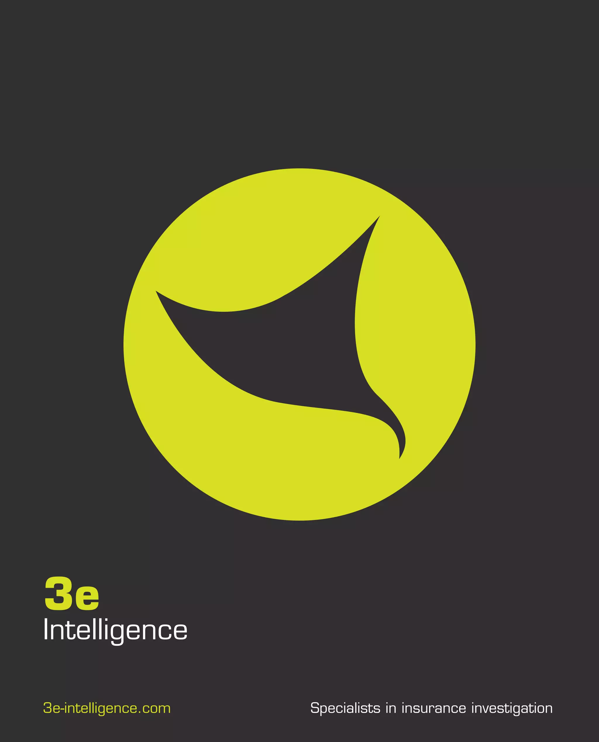 3e Intelligence PDF Brochure | PDF