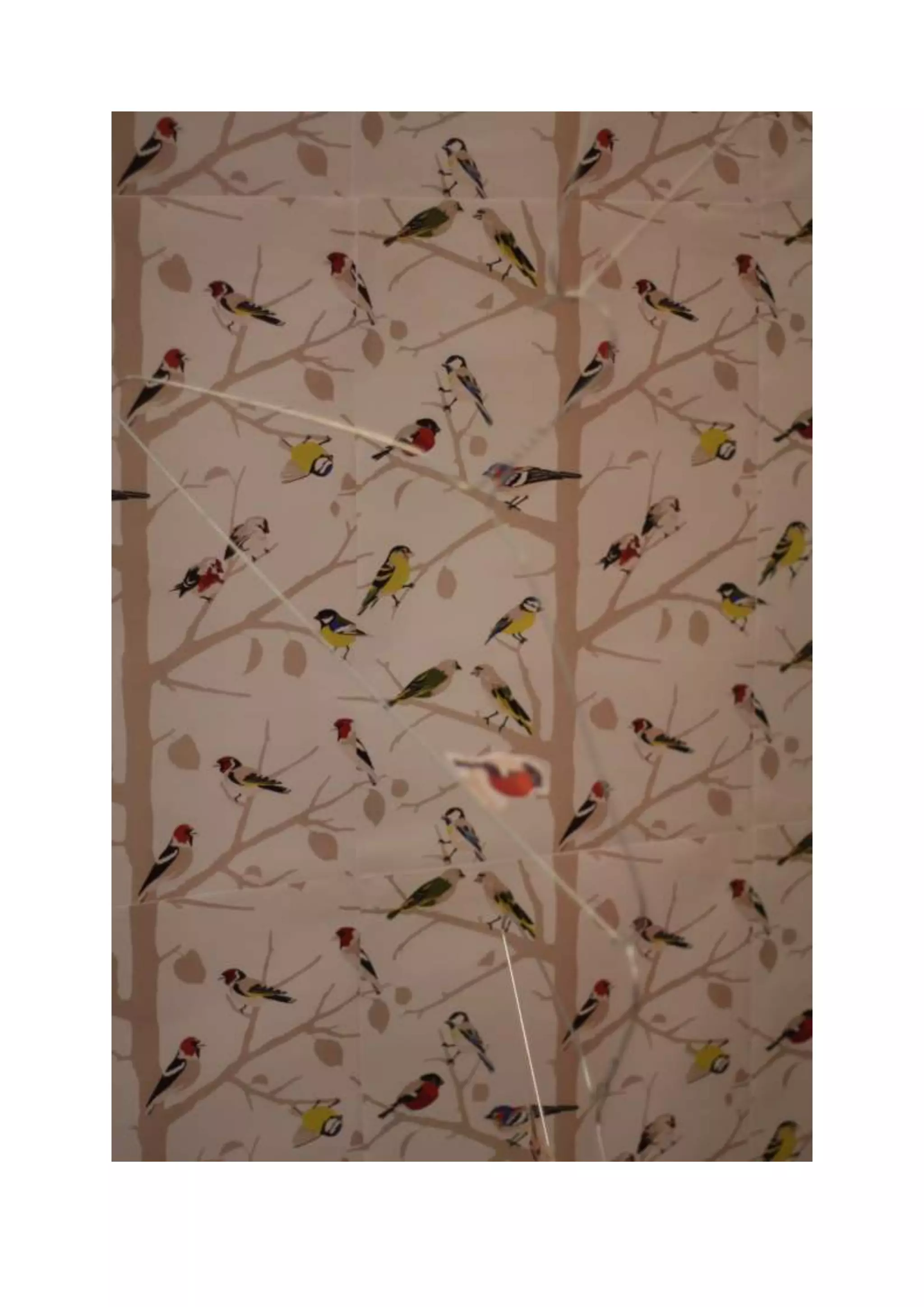 Retail Display Final Project | DOCX