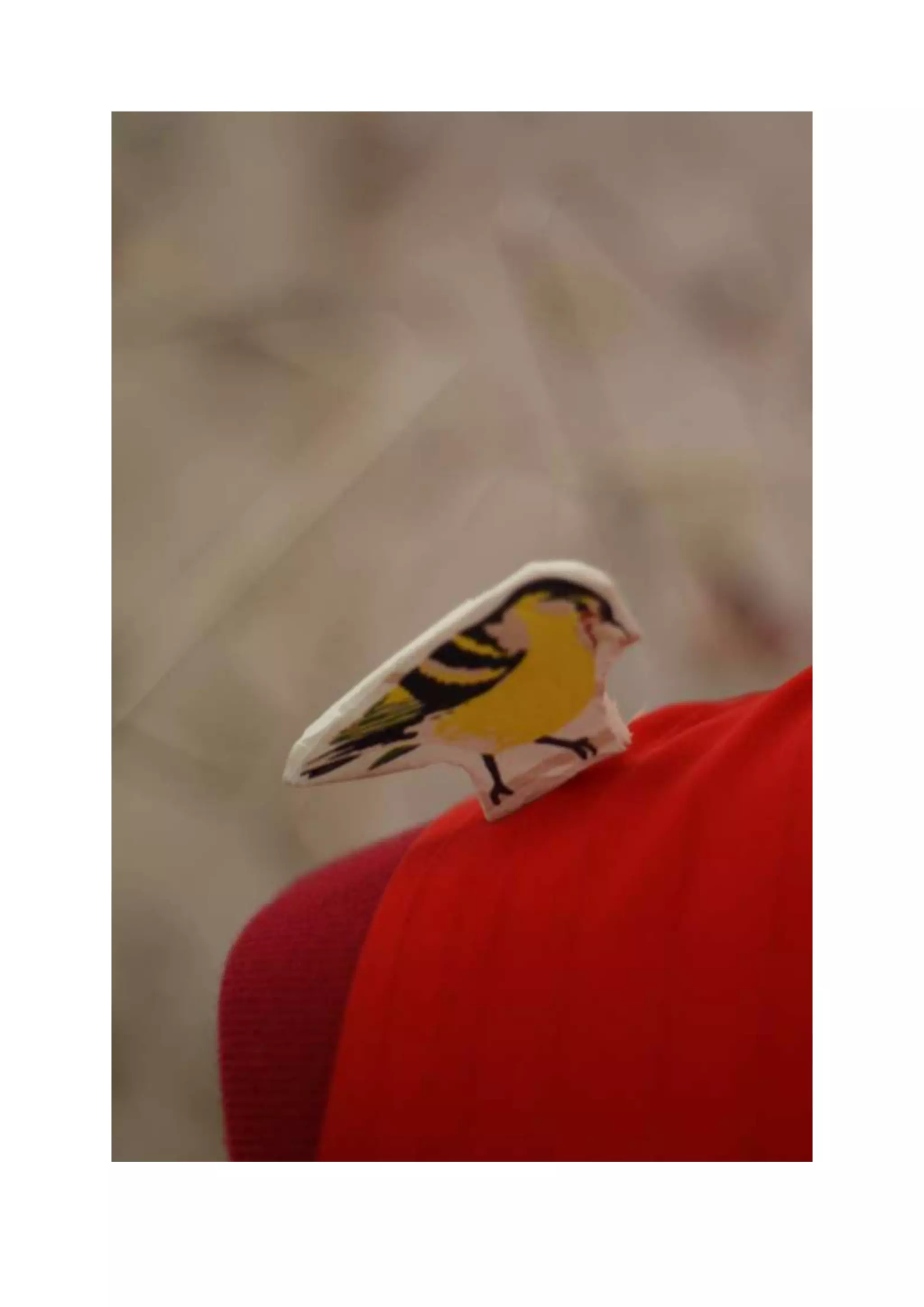 Retail Display Final Project | DOCX