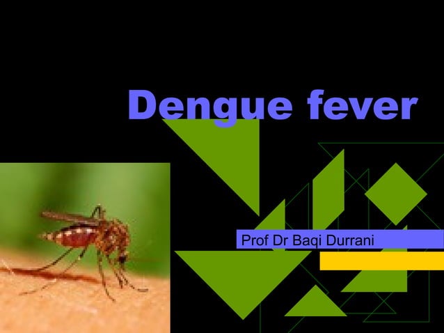 6. Dengue Fever | PPT | Infectious Diseases | Diseases and Conditions