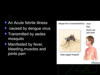 6. Dengue Fever | PPT | Infectious Diseases | Diseases and Conditions