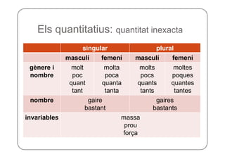 Els determinants 2 | PDF