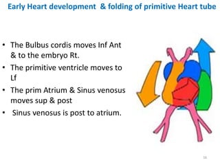 6 development of the heart akd | PPTX