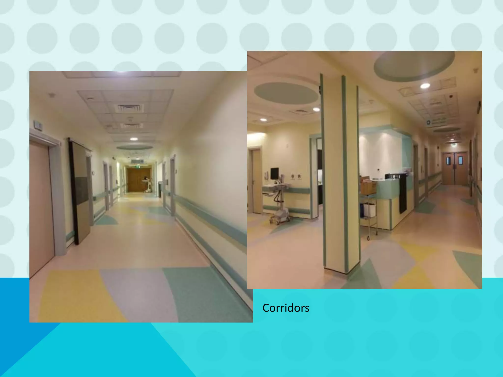 VIP Ward Presentation | PPTX