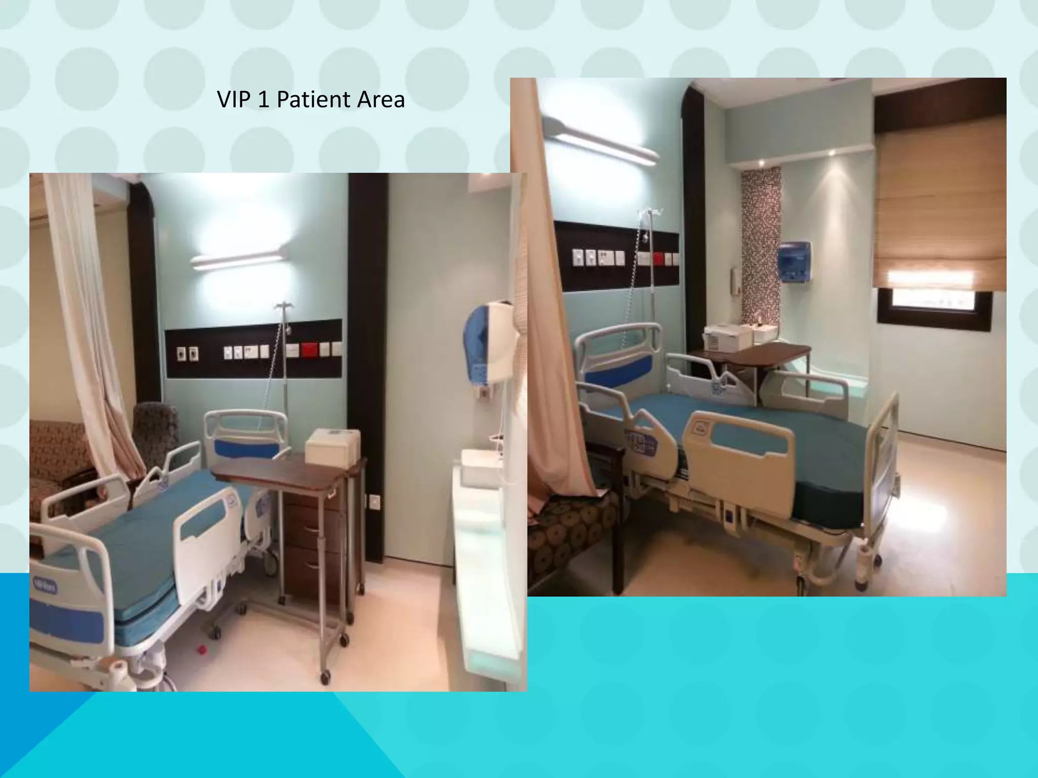 VIP Ward Presentation | PPTX