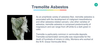 6 Different Types of Asbestos | PPT