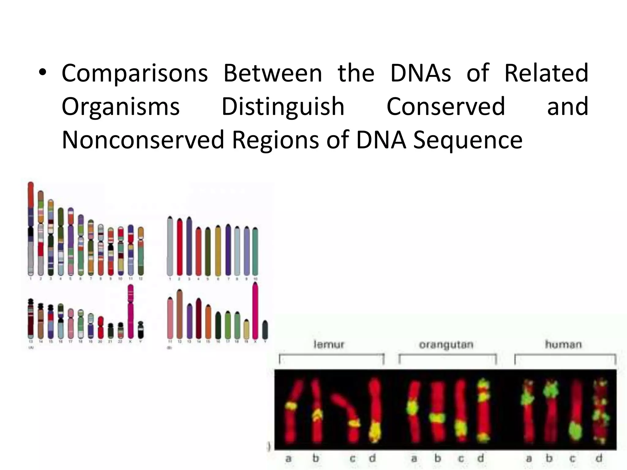 8 Basic Genetic Mechanisms | PPTX