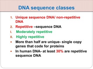 6 dna organisation ii | PPT