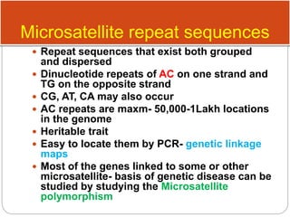 6 dna organisation ii | PPT