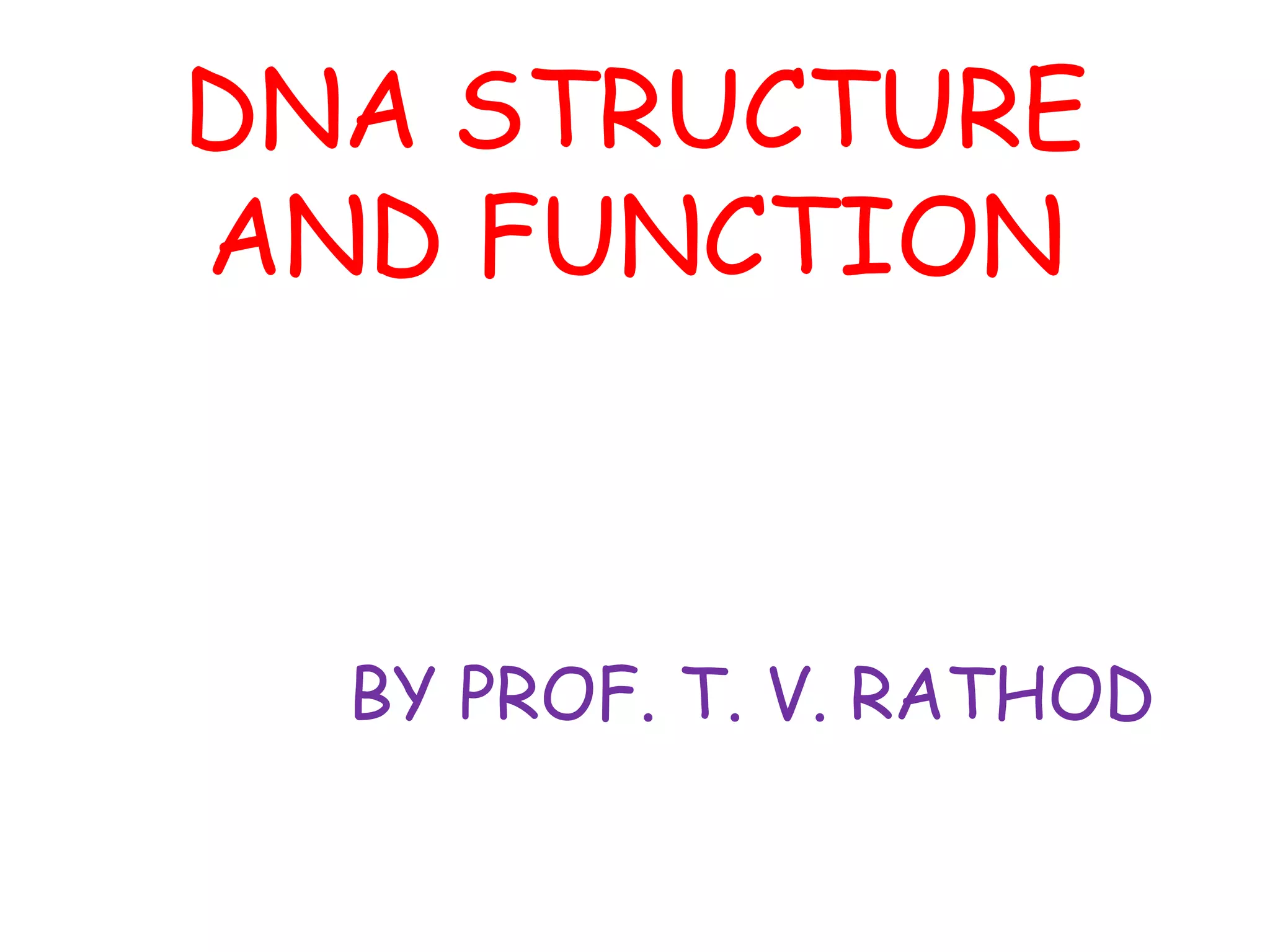 DNA Structure & Function | PPTX