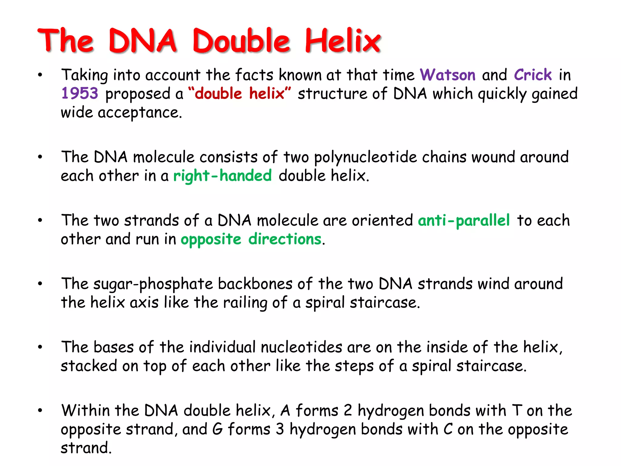 DNA Structure & Function | PPTX