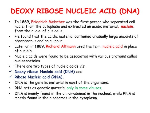 DNA Structure & Function | PPTX