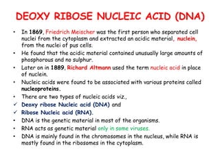 DNA Structure & Function | PPT