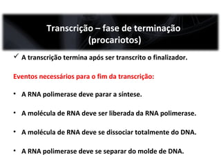 6 dogma central da biologia molecular transcrição | PPT