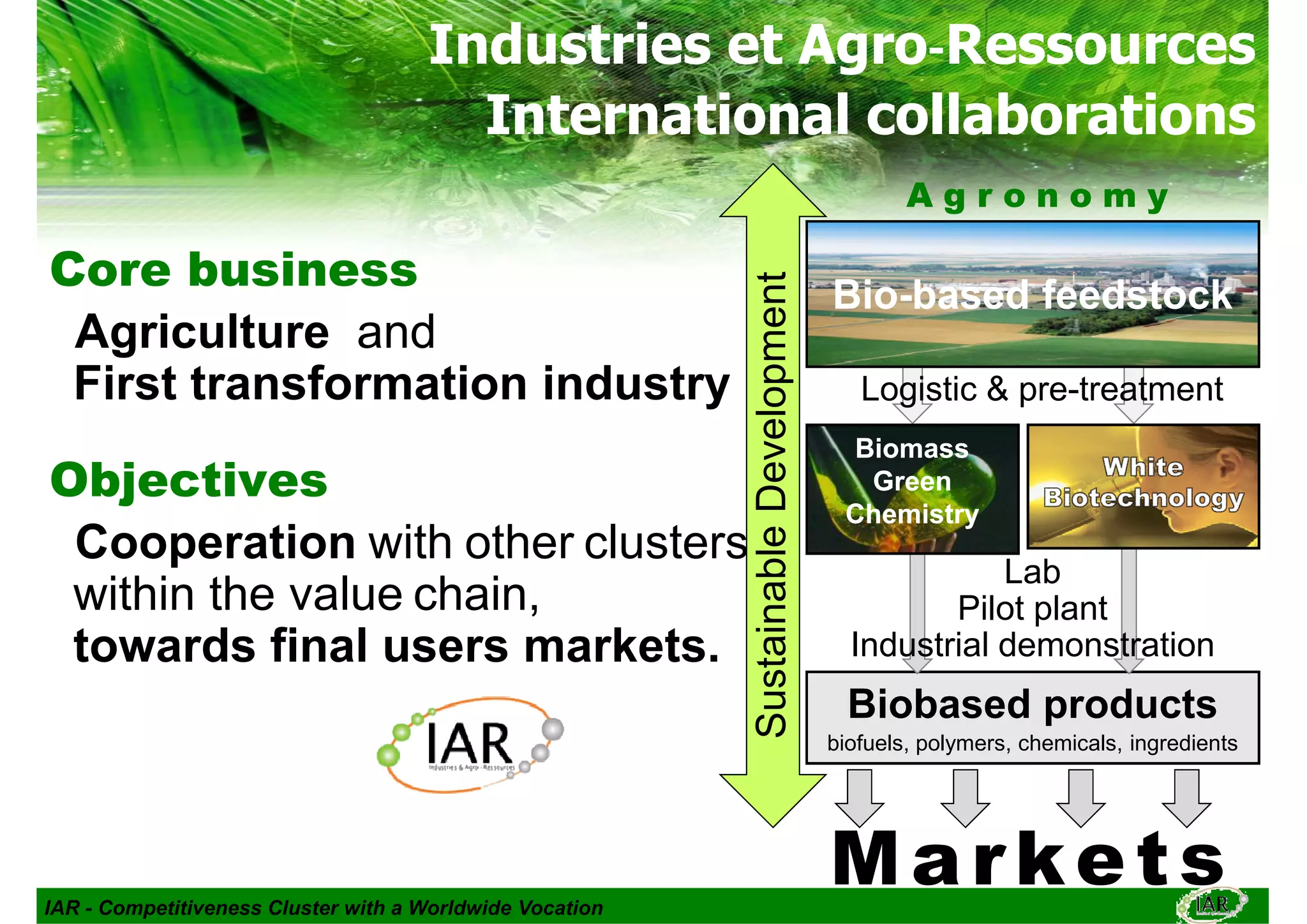 Biofuels In France - From 1st To 2nd Generation Within A Biorefinery ...