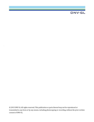 CPP White Paper Final DNV GL | PDF