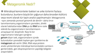 Yeni enzimlerin keşfinde metagenomik yaklaşımlar | PPT