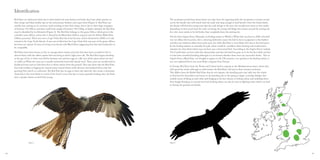 Red Kite Conservation book | PPT