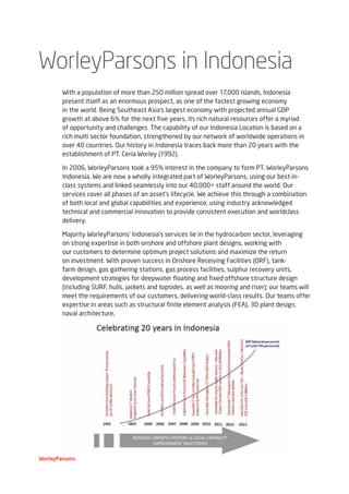 WPI Capability 2014 | PDF