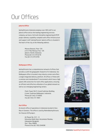 WPI Capability 2014 | PDF