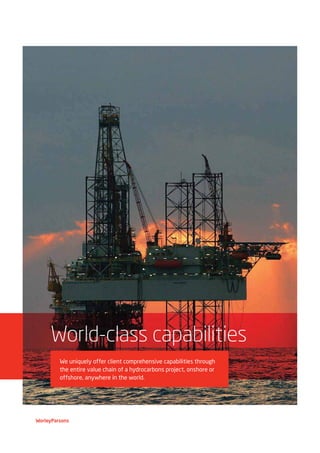 WPI Capability 2014 | PDF