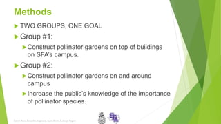 pollinatorppt-1 | PPTX
