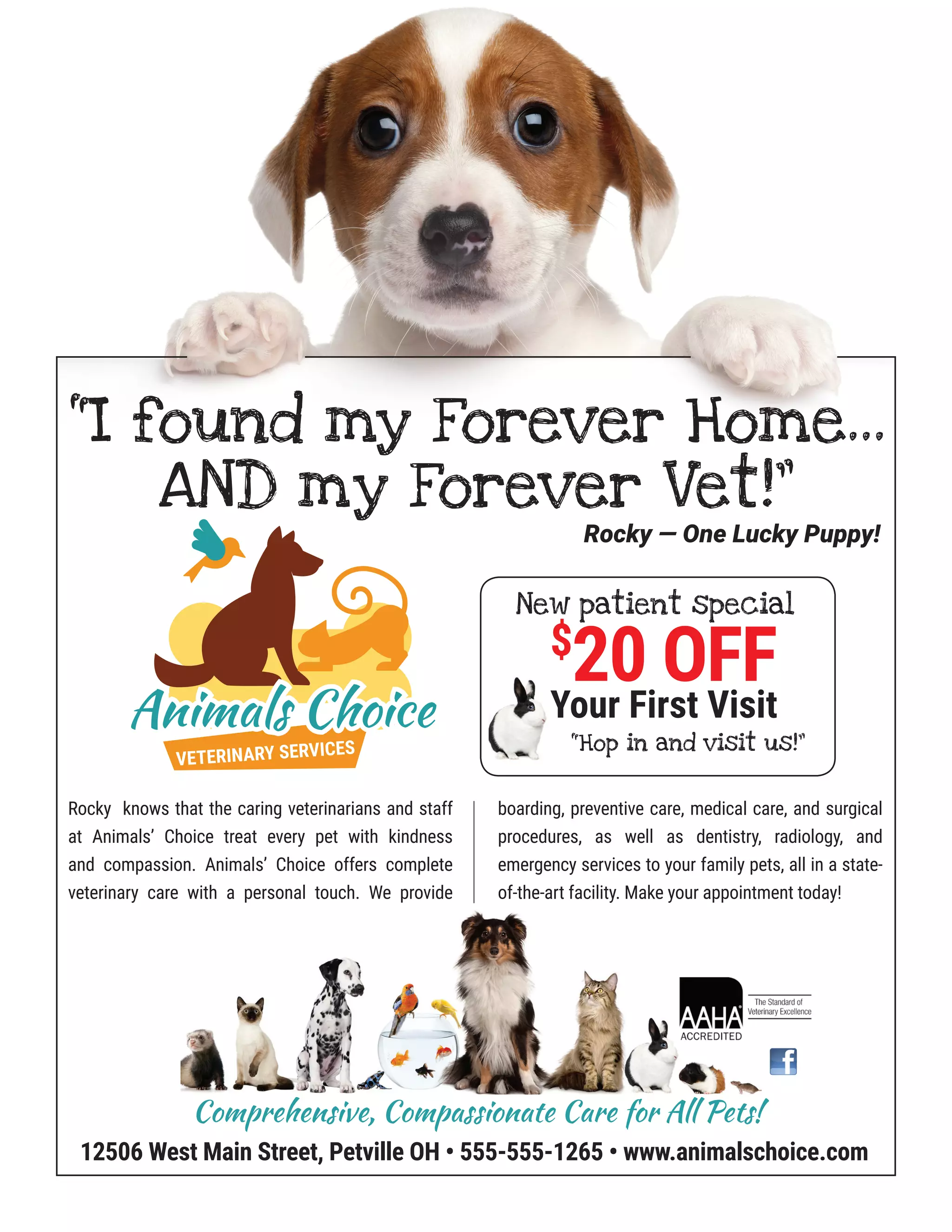 Animals Choice Joanne | PDF