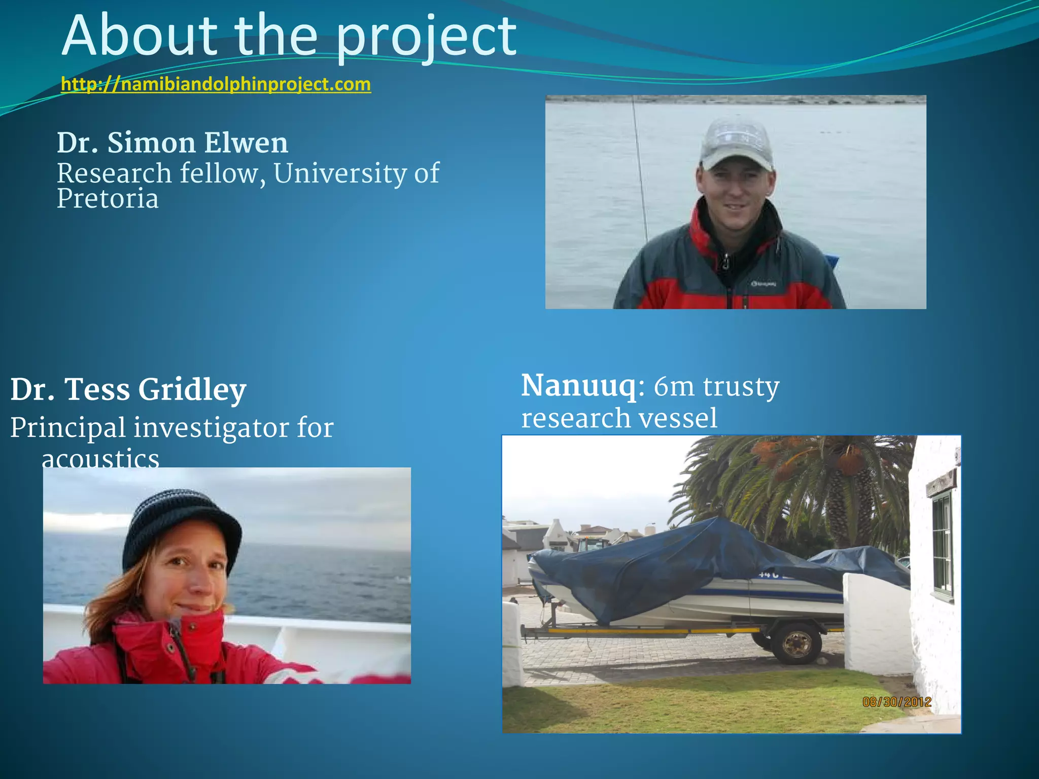 Namibian Dolphin Project Powerpoint | PDF