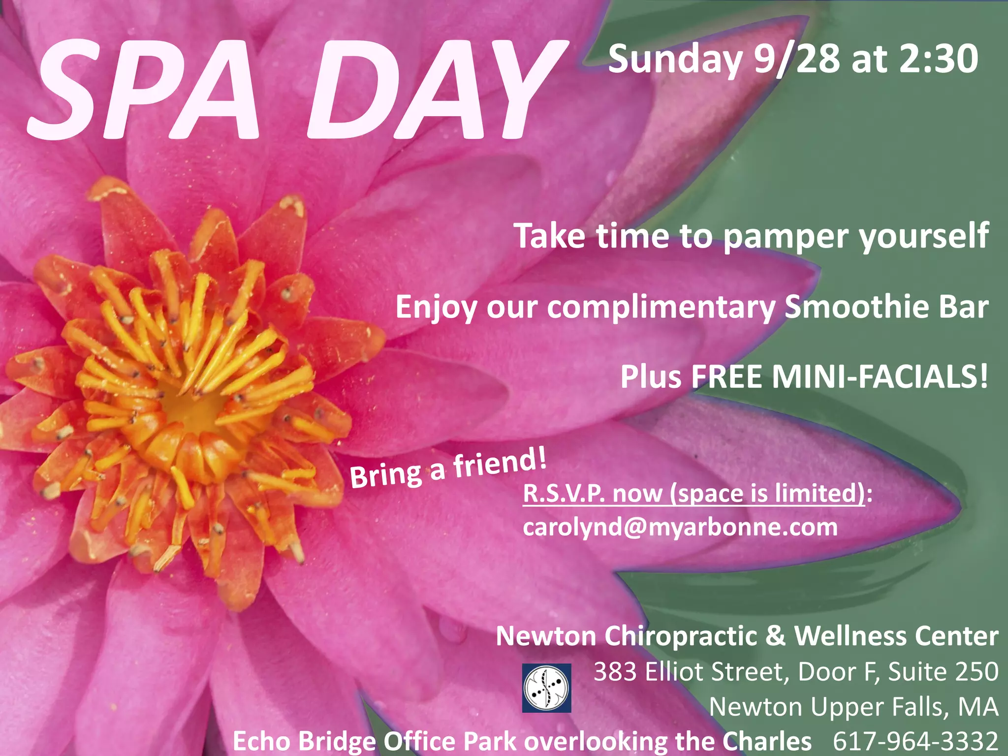 Arbonne Spa Day Flyer | PDF
