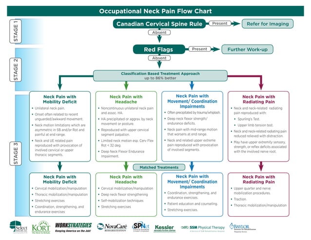 Neck Pain Classification | PDF | Physical Therapy | Wellness