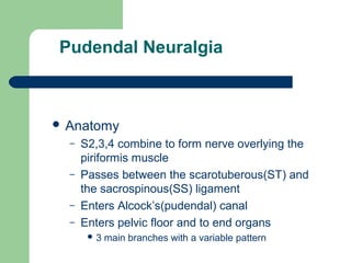 Interdisciplinary Management of Complex Pelvic Pain Revised | PPT