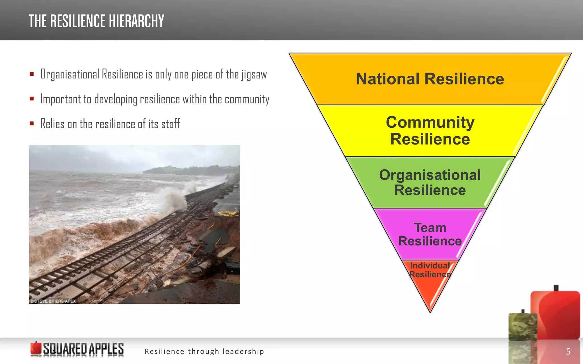 Building organisational resilience | PDF
