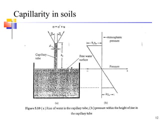 Capillary Action In Soil