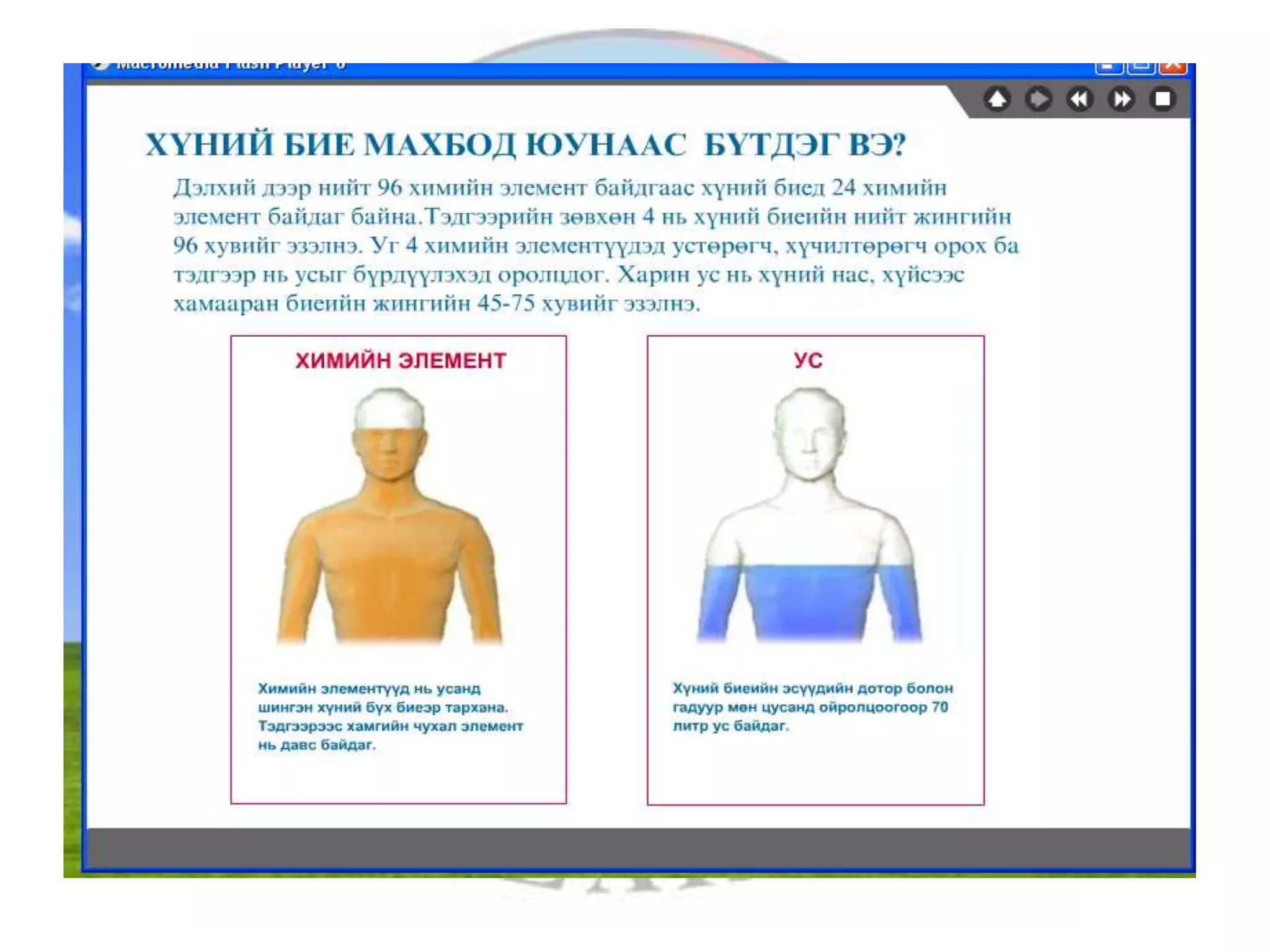 лекц 1 хүний биеийн ерөнхий бүтэц тулгуур эрхтэн тогтолцоо Pptx