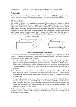 6 elasticity young's modulus | PDF