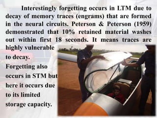 Forgetting an introduction (Fails to remember) | PPSX | Brain and Nervous System Disorders ...