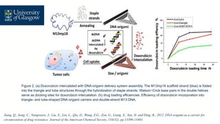 DNA Origami | PDF