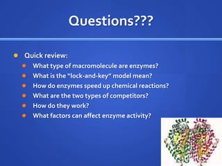 6 enzyme notes | PPT