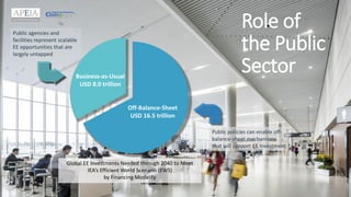 Public financial mechanisms that enhance the viability of ESCO projects ...
