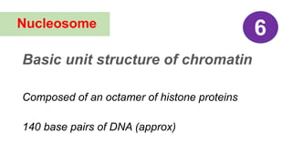 6 essential genetic terms explained!!! | PPT