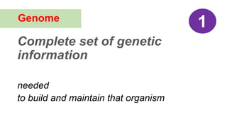 6 essential genetic terms explained!!! | PPT