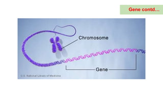 6 essential genetic terms explained!!! | PPT