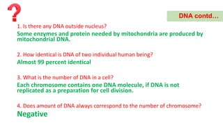 6 essential genetic terms explained!!! | PPT