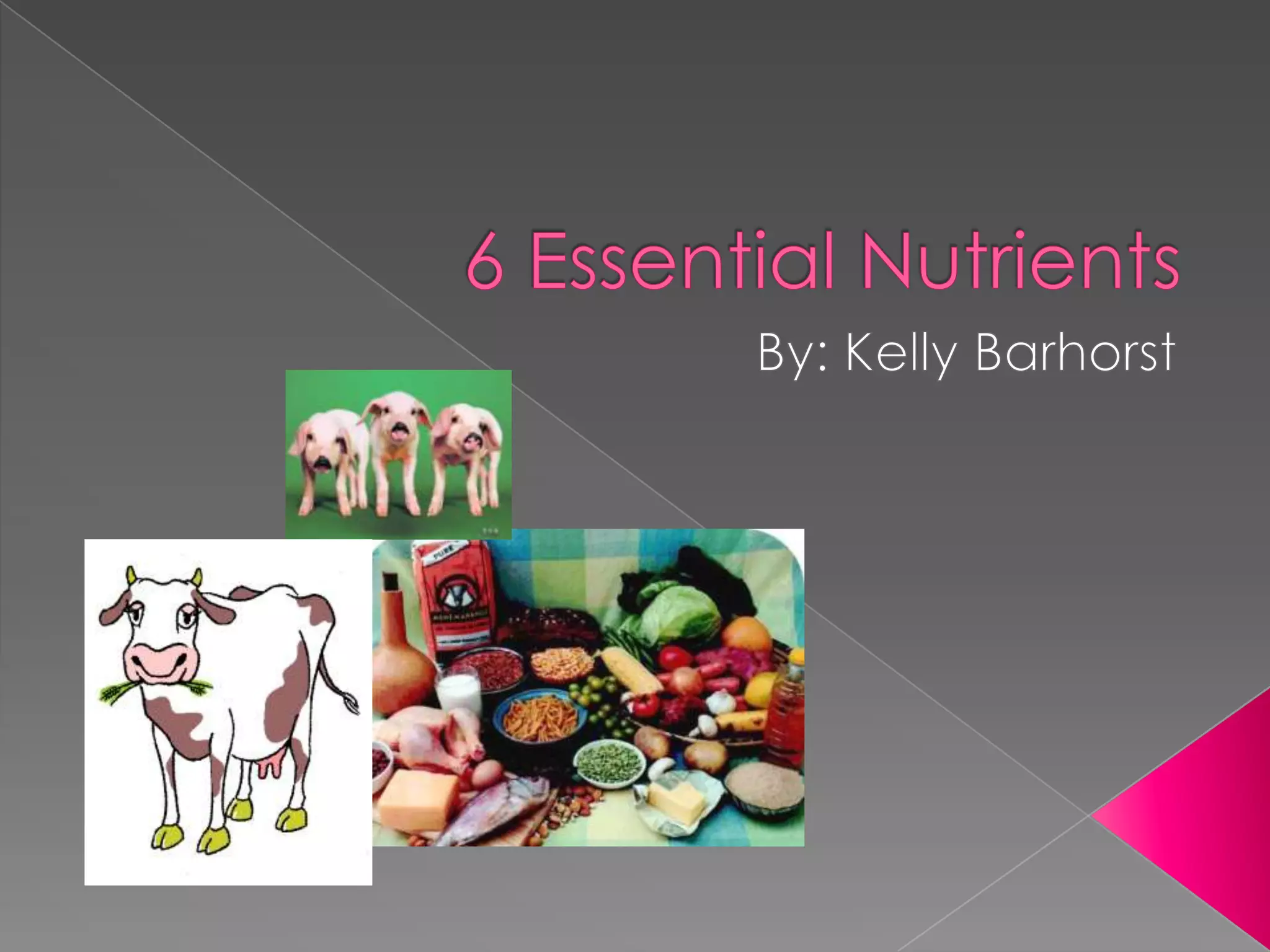 6 essential nutrients | PPTX