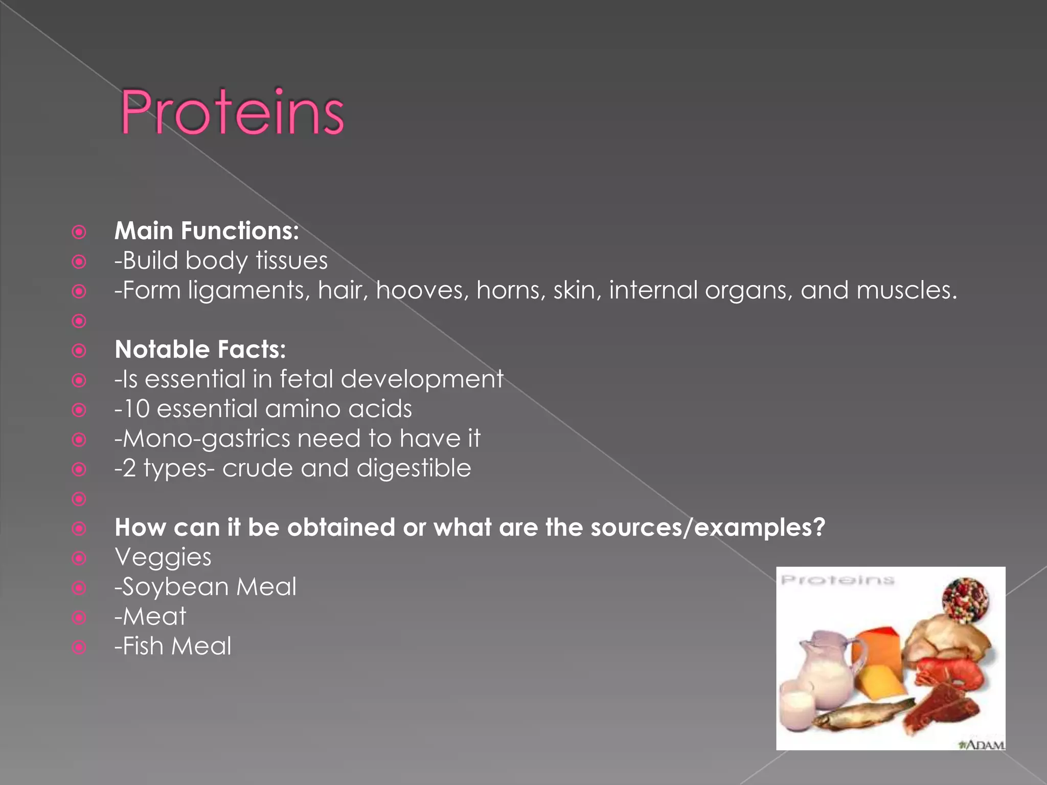 6 essential nutrients | PPTX