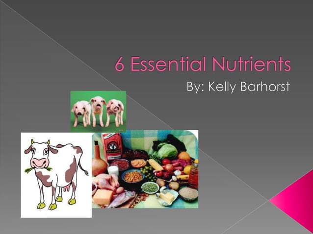 6 essential nutrients | PPTX