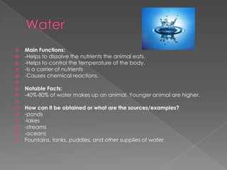 6 essential nutrients | PPTX