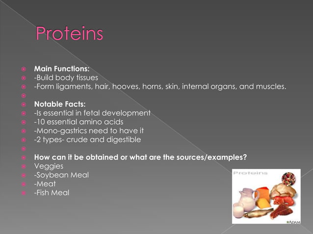 6 essential nutrients | PPTX