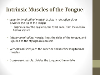 tongue | PDF