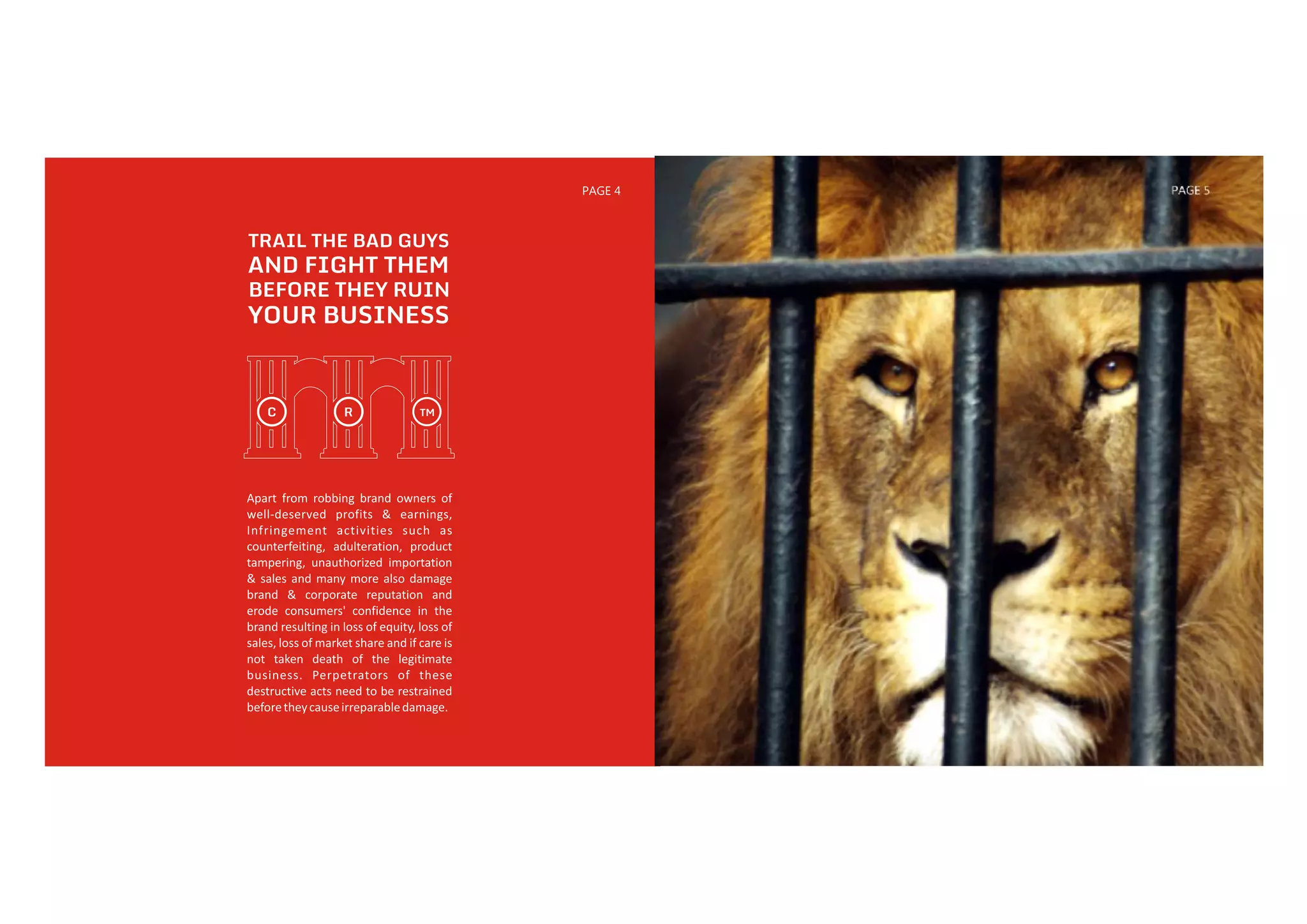 MSA Brochure | PDF